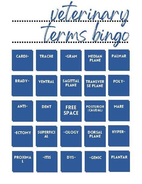 Veterinary Terms Bingo By Cassandras Ag Curriculum Tpt