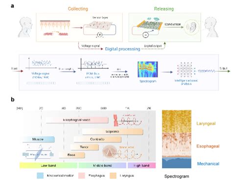 Ren Tian Lings Research Group Developed An Intelligent Wearable Artificial Throat For Mixed