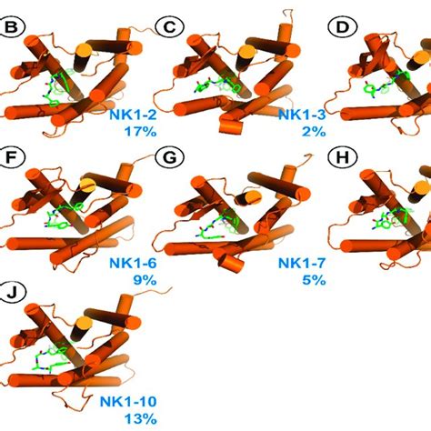 Representative Structures For The Clusters From Md Simulations Of