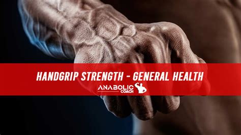 What Your Handgrip Strength Says About Your General Health Anabolic Coach