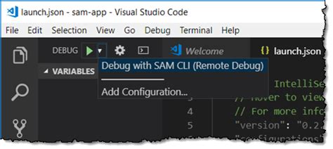 Aws Serverless Application Model Sam Command Line Interface Build Test And Debug