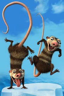 Possum Ice Age