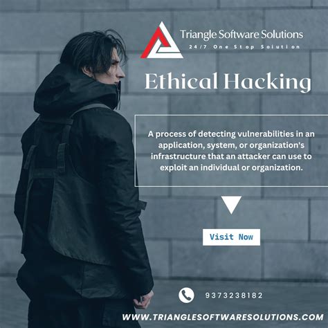 triangle software solutions ltd on linkedin trianglesoftwaresolutions businesstobusiness