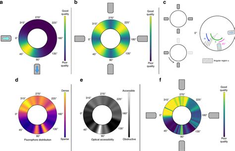 Simulation And Estimation Of Sample Coverage In A Multi View Dataset A