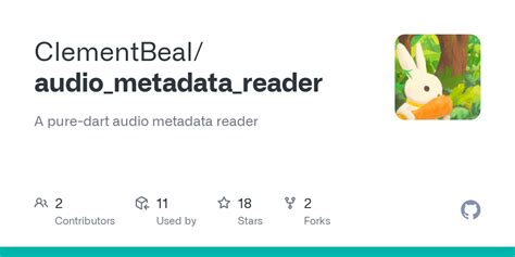 Audio Metadata Reader Example Main Dart At Main ClementBeal Audio Metadata Reader GitHub
