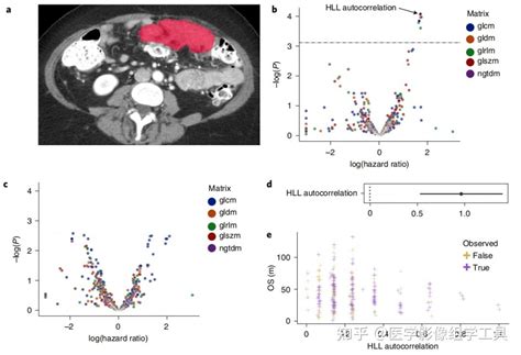 （影像 病理多模态组学）国自然标书设计 预实验：使用机器学习的多模式数据整合改善高级别浆液性卵巢癌的风险分层 知乎
