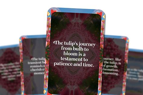 The Tulip Oracle A Journey Of Growth And Resilience Divination Too Ibiza Tarot