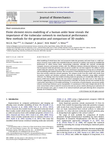 Pdf Finite Element Micro Modelling Of A Human Ankle Bone Reveals The