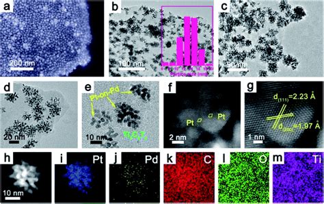 Surface Assembling Of Highly Interconnected And Vertically 47 Off