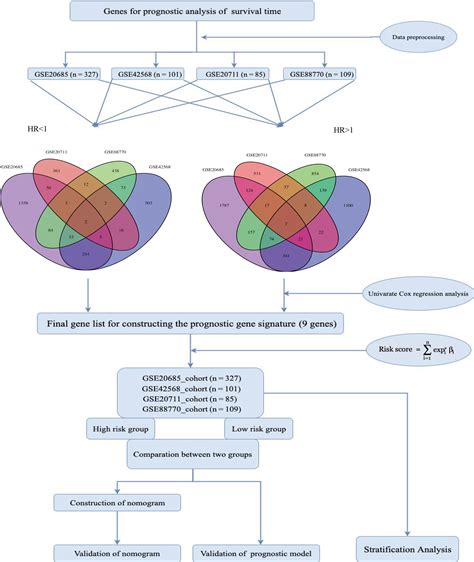 Identification Of A 9‐gene Prognostic Signature For Breast Cancer Tian 2020 Cancer