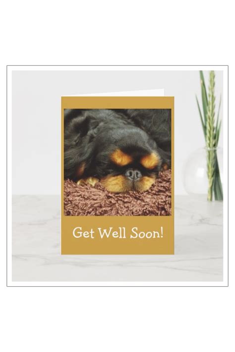 Get Well Soon Dog Card Zazzle Dog Cards Get Well Cards Get Well