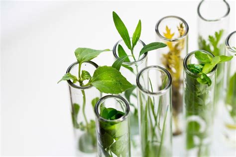 Green Nanoparticle Synthesis Future Perspectives And Challenges Statnano