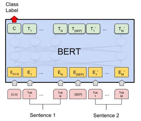 Do Sentiment Analysis Project By Bert Lstm Wordcloud Nlp By Young Ucb Fiverr