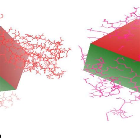 Grid Box Of A Hsp70 B Ns2b Ns3 Protein Download Scientific Diagram