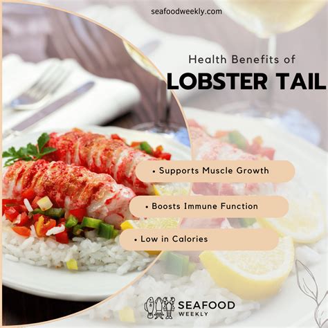 Exploring The Protein Content Of Lobster Tail