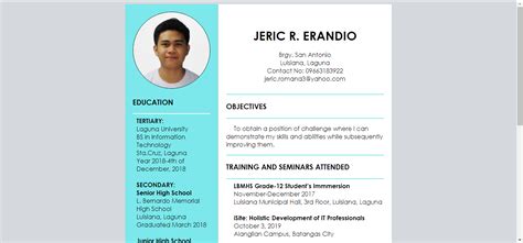 GitHub JericErandioIT Myresume