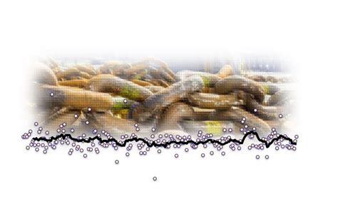 Digitization Of Inspection Process