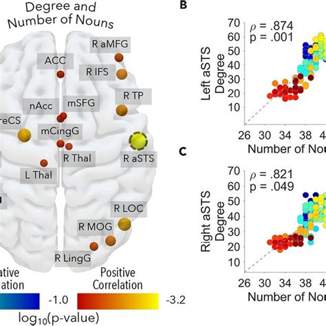 The Figure Reports The Association Between Whole Brain Connectivity