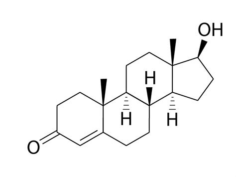 Free Seattle Sex Krajsiweb Com