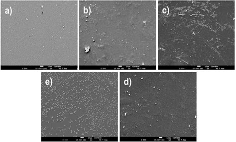 Sem Micrographs Of Films Based On Chitosan And Collagen Chcoll A