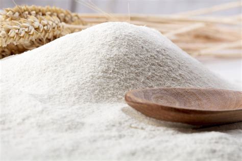 Bulk Wheat Flour Maida And Sooji Supplier Wholesale Prices