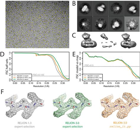 Figures And Data In New Tools For Automated High Resolution Cryo Em Structure Determination In