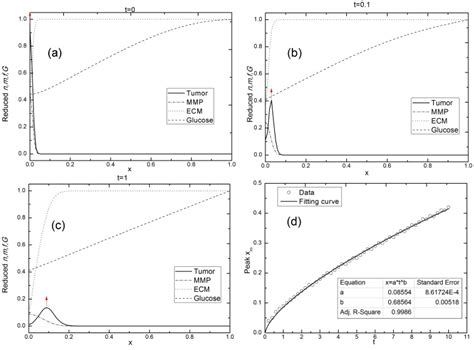 The Anomalous Diffusion Of A Tumor Invading With Different Surrounding