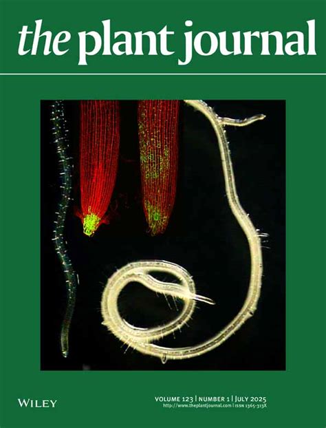 Gt1 Regulates Maize Sex Determination By Affecting The Jasmonate Pathway Lin 2025 The