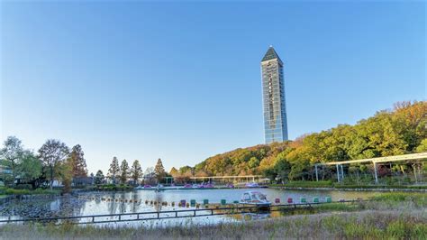 東山スカイタワーの一番お得な割引方法 全国レジャー施設割引ナビ