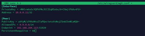 How To Install Use WireGuard On GNU Linux Your VPN RaspberryTips