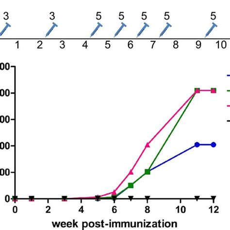 Grading Of Hypersensitivity Reactions According To National Cancer Download Table