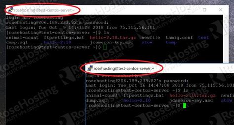 How To Multi Task In Linux With The Command Line Rosehosting