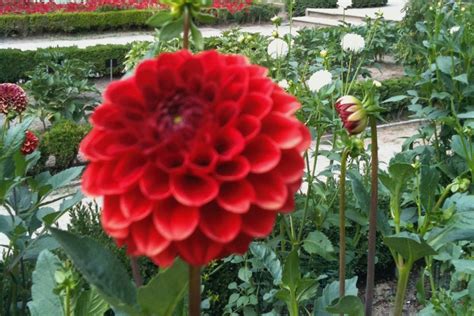 How We Solve Problems Recursion Jack Reichert