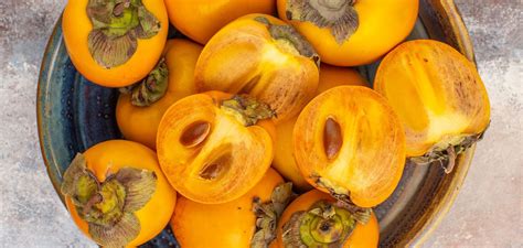 Як виростити хурму вдома поради для дачників Oboz Ua