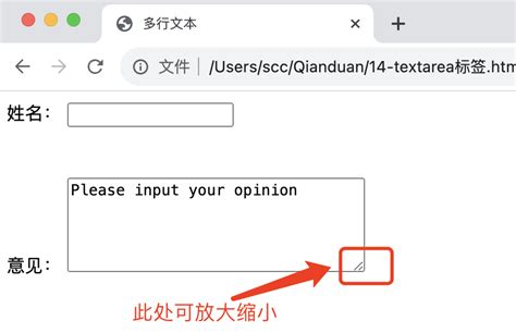 html 入门手册 二 html文本框 csdn博客