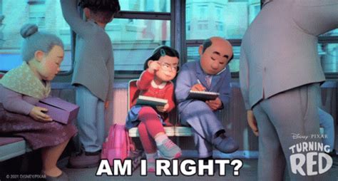 Am I Right Mei Lee  Am I Right Mei Lee Turning Red Discover