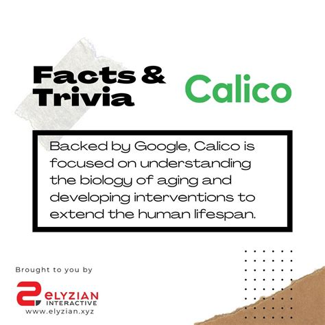 Elyzian Interactive On Linkedin Techtrivia Didyouknow Infographic