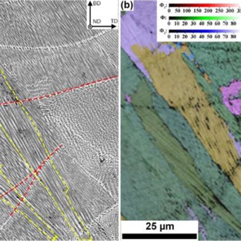 E SE Micrograph A And The EBSD Euler Orientation Map Superimposed By Download Scientific