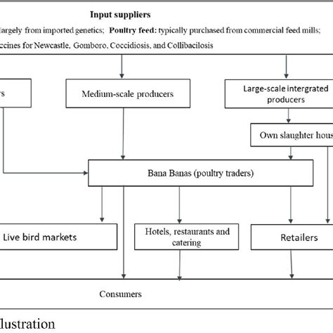 Map Of The Senegalese Broiler Value Chain Download Scientific Diagram