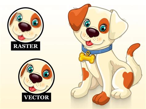 Vector Tracing Vectorize Logo Convert Vector In H Upwork