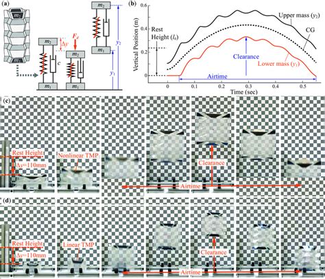 dynamic jumping test a schematic of the dynamic setup b a