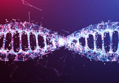Understanding Boolean Logic A Comprehensive Overview Of Data Representation In Computer Science