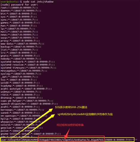 linux内网渗透 信息收集命令基础篇 获取系统信息命令内网渗透 csdn博客