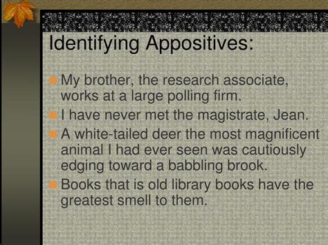 Ppt Mastering Appositive Grammar Essential Tips And Examples