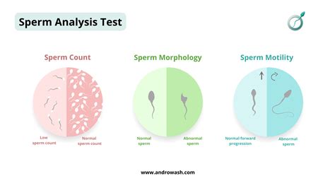 Sperm Count Test SUBHAG