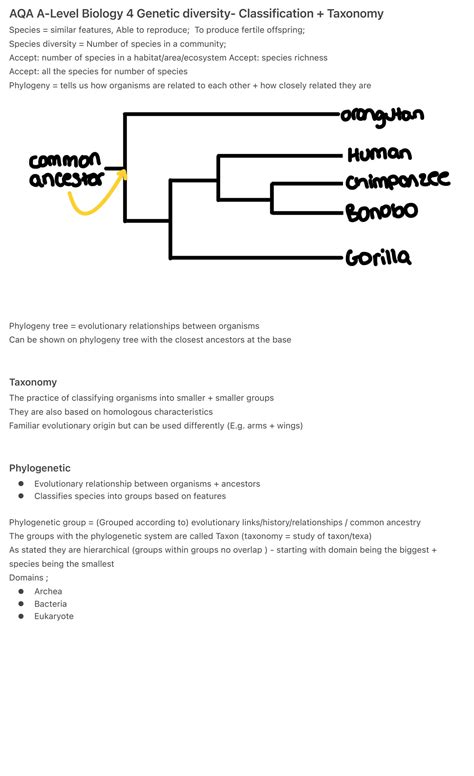Solution Aqa A Level Biology 4 Genetic Diversity Classification