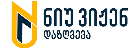 New Vision Insurance ნიუ ვიჟენ დაზღვევა