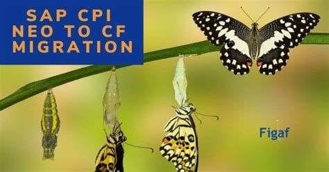 Sap Cpi Neo To Cloud Foundry Migration Figaf