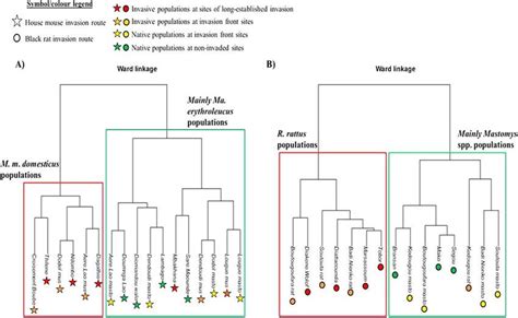 bray curtis bc dissimilarity index based ward s hierarchical