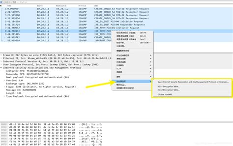 wireshark 解密加密报文 wireshark解密星号内容 csdn博客
